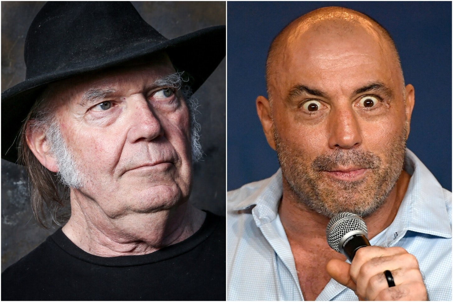 Rogan and Neil | TomFlannery.com